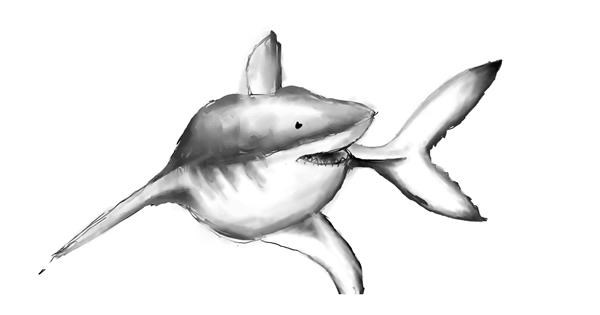 Drawing of Shark by Sweet Pea - Drawize Gallery!