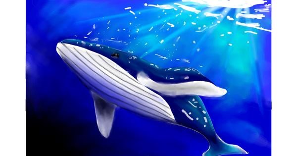 Drawing of Whale by Grace鹿曆 - Drawize Gallery!