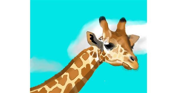 Žirafa - crteži: Galerija i upute za crtanje