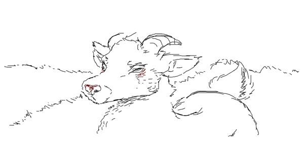 Drawing of Goat by Empty - Drawize Gallery!