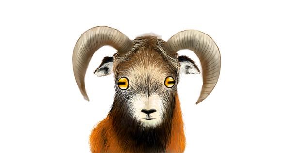 Drawing of Goat by - Drawize Gallery!