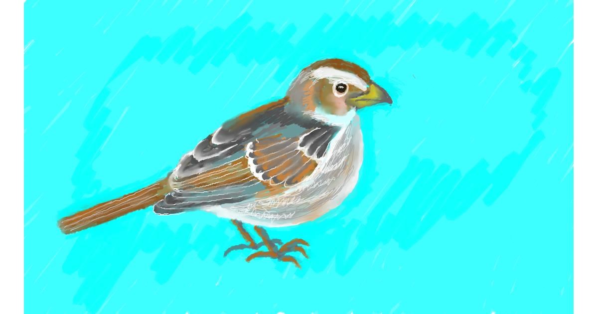 Sehen Sie, wie SAM AKA MARGARET Spatz zeichnet!