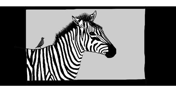Zebra - crtež od autora: Pinky - Drawize galerija!