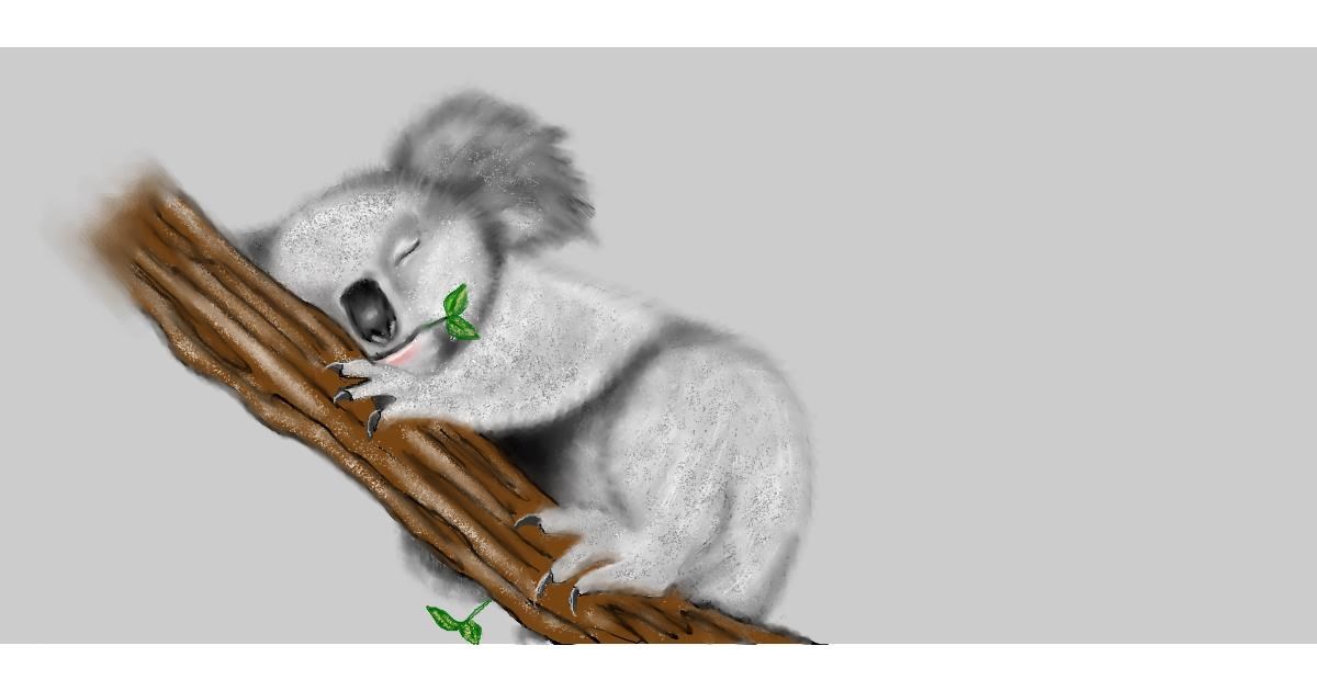 Watch Çhåching draw Koala!
