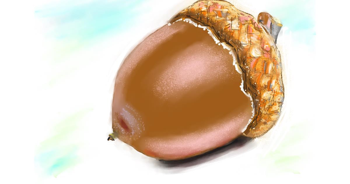 Watch Herbert draw Acorn!