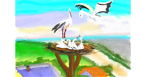 Drawing of Stork by Dm - Drawize Gallery!