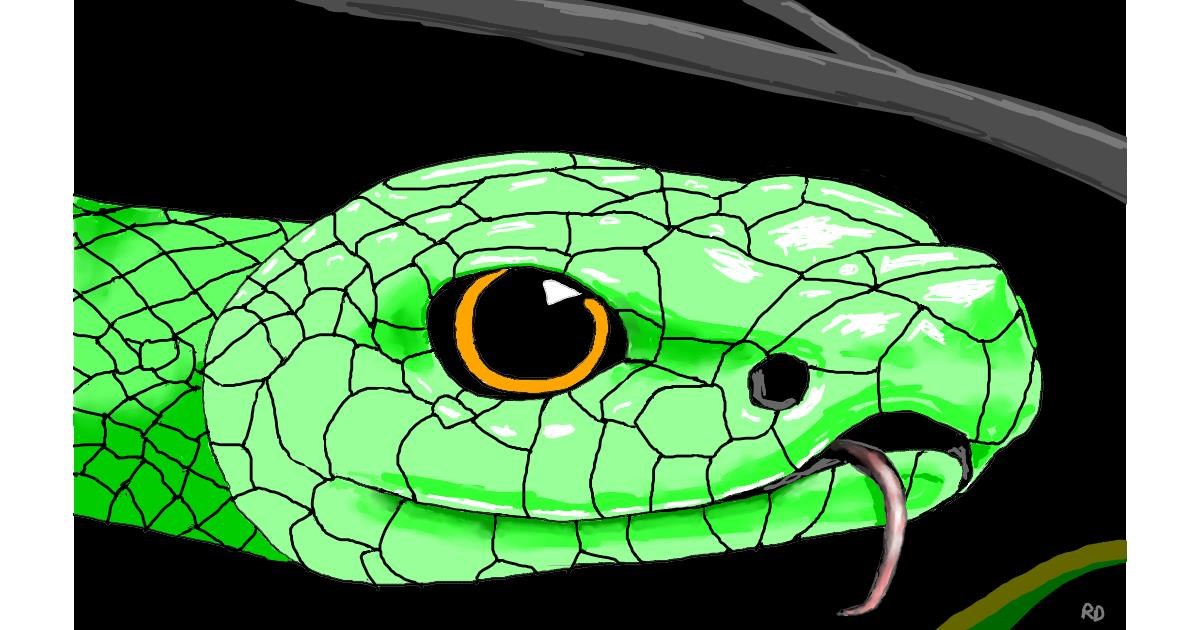 Watch flowerpot draw Snake!