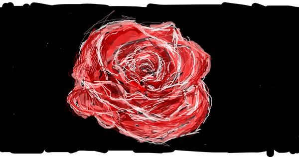 Drawing of Rose by Paranoia - Drawize Gallery!