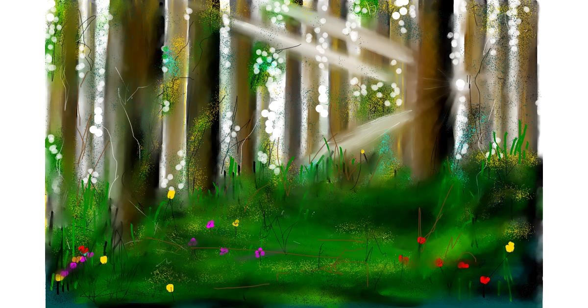 Watch Mandy Boggs draw Forest!