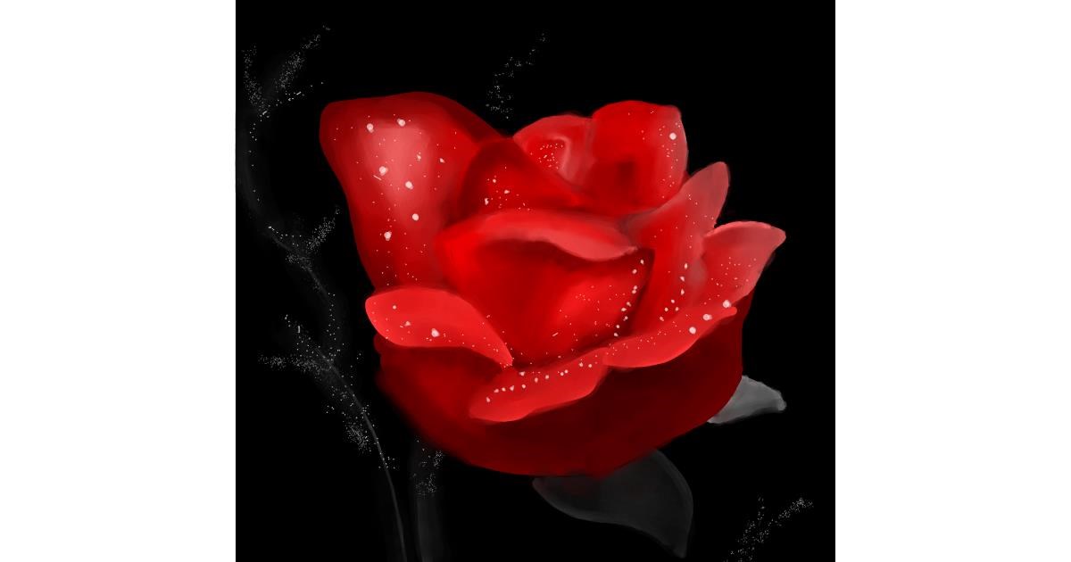 Pogledajte kako ヴィクトル crta Ruža!