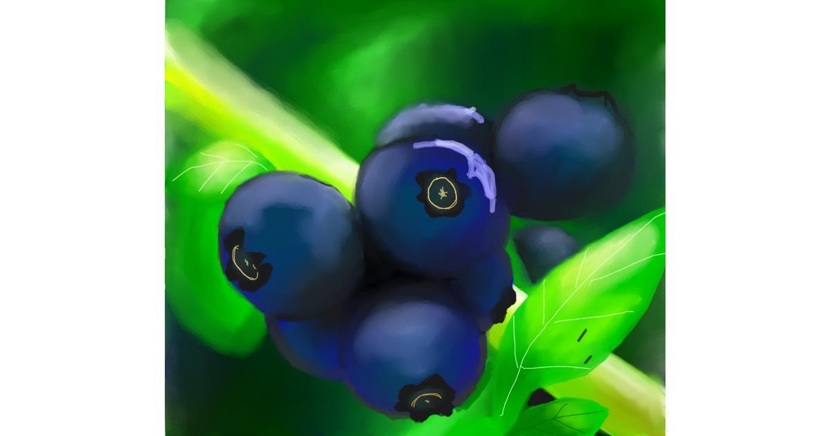 Watch Nellie draw Blueberry!