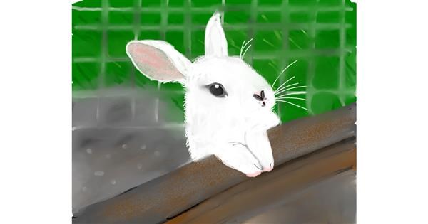 Drawing of Rabbit by Eagle礪 - Drawize Gallery!