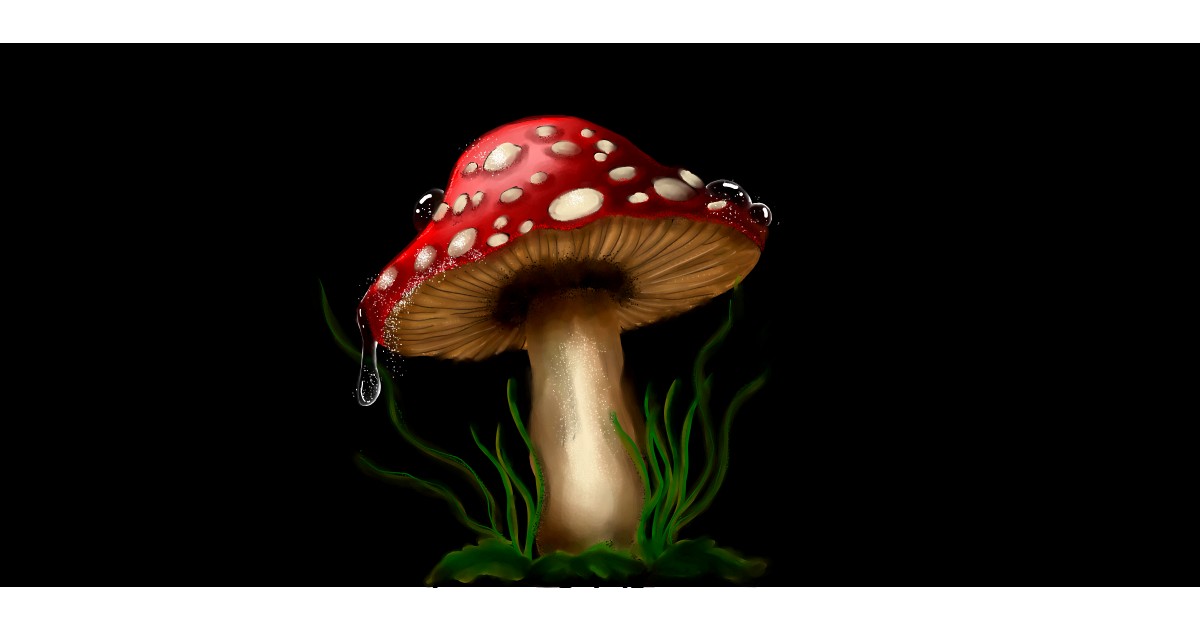 Watch Annie draw Mushroom!
