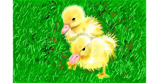 Patka - crtež od autora: GJP - Drawize galerija!