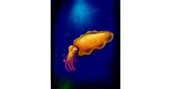 Drawing of Cuttlefish by Mom E - Drawize Gallery!