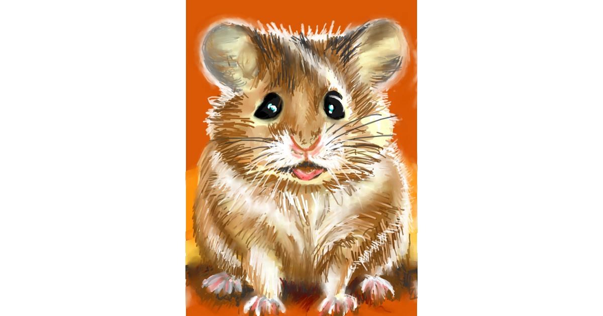 Watch ⋆su⋆vinci彡 draw Hamster!