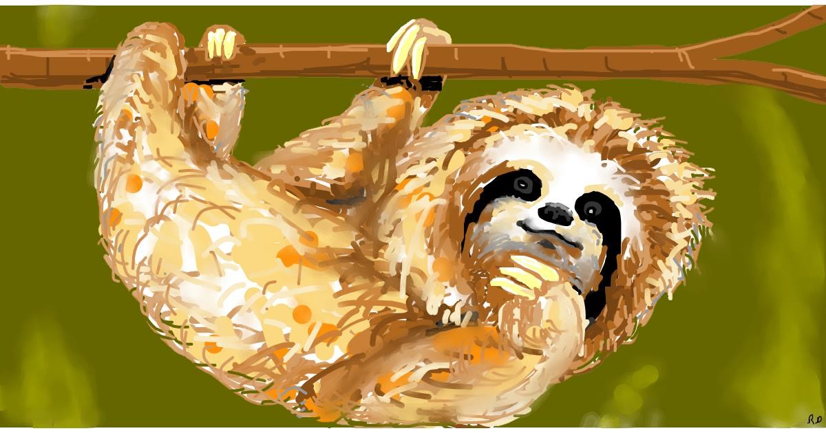 Watch Swimmer draw Sloth!