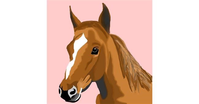 Konj - crtež od autora: bronze Dunlin - Drawize galerija!