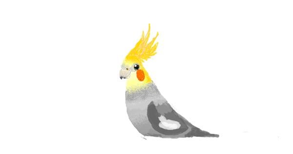 Bird Drawing by coconut - Draw and Guess Gallery!