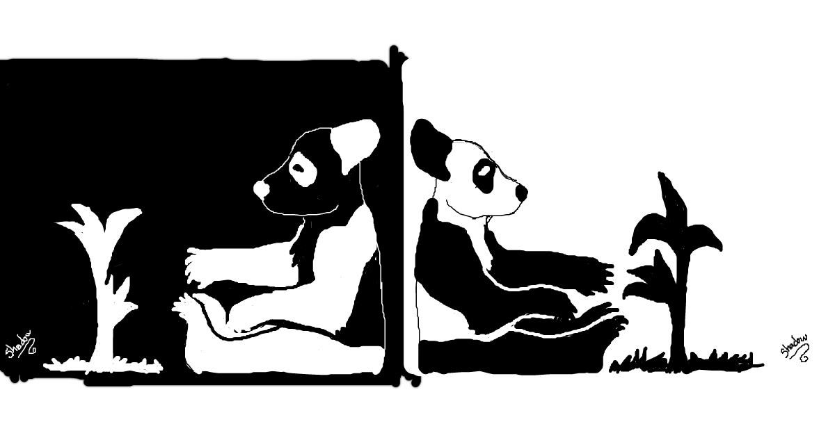 Panda Drawing by SHADOW - Drawize Gallery!