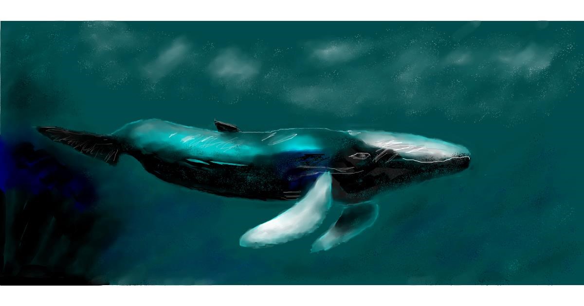 Watch Gillian draw Whale!
