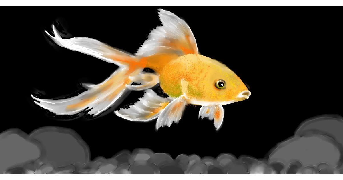 Watch SAM AKA MARGARET draw Fish!