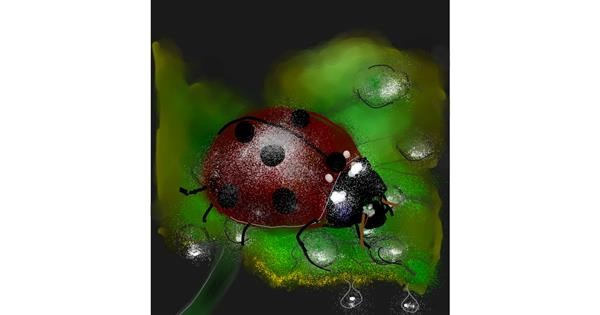 Drawing of Ladybug by Eclat de Lune - Drawize Gallery!